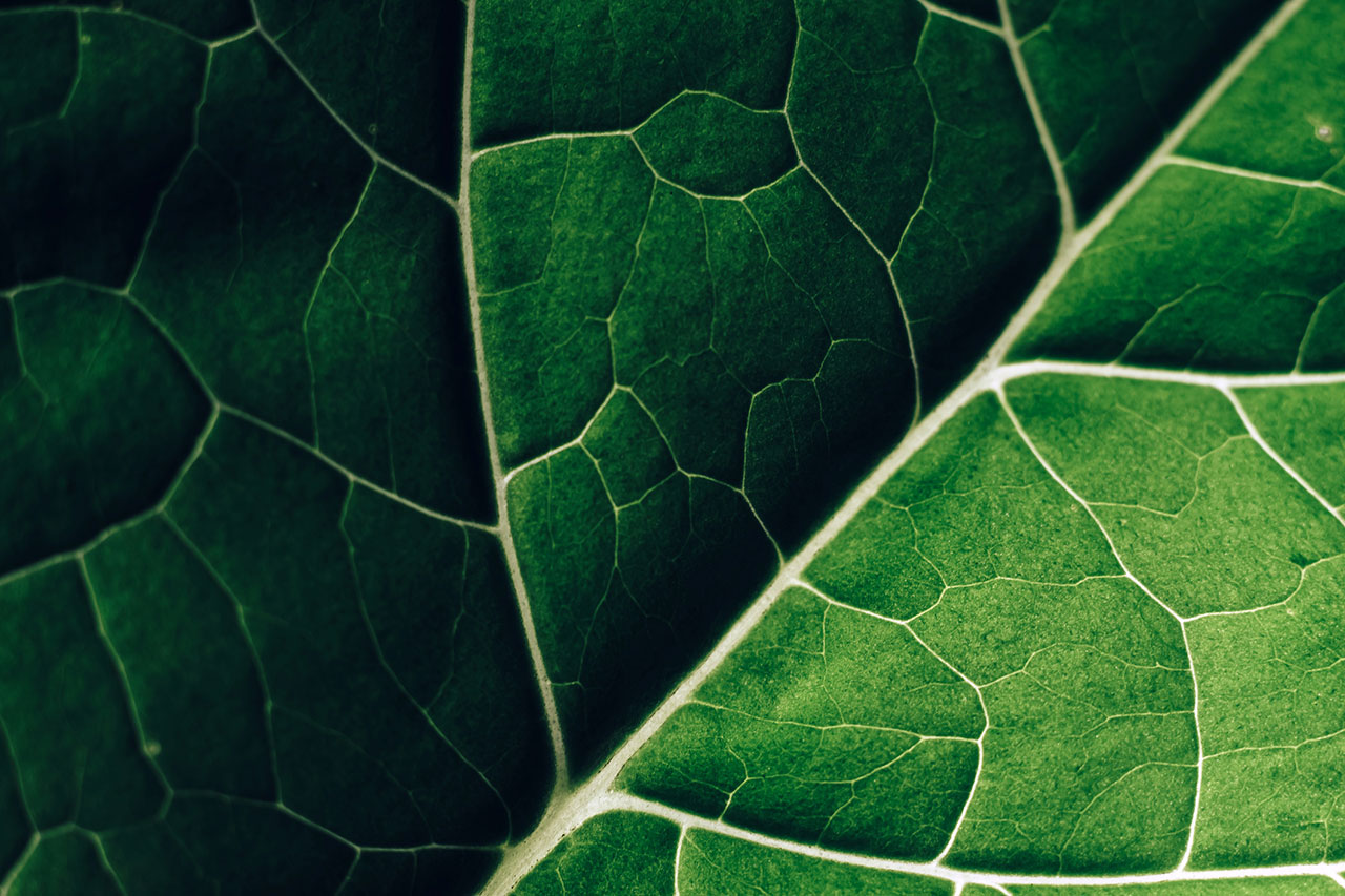 For Advisor Succession Plans to Work, Clients Need to Win | CI Global ...