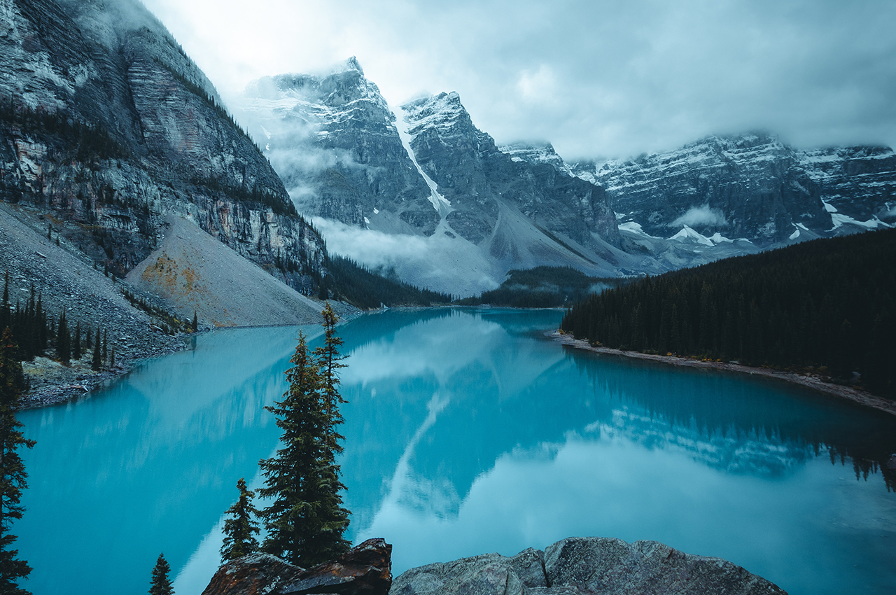 Investment Insights & Market Outlook | CI Global Asset Management