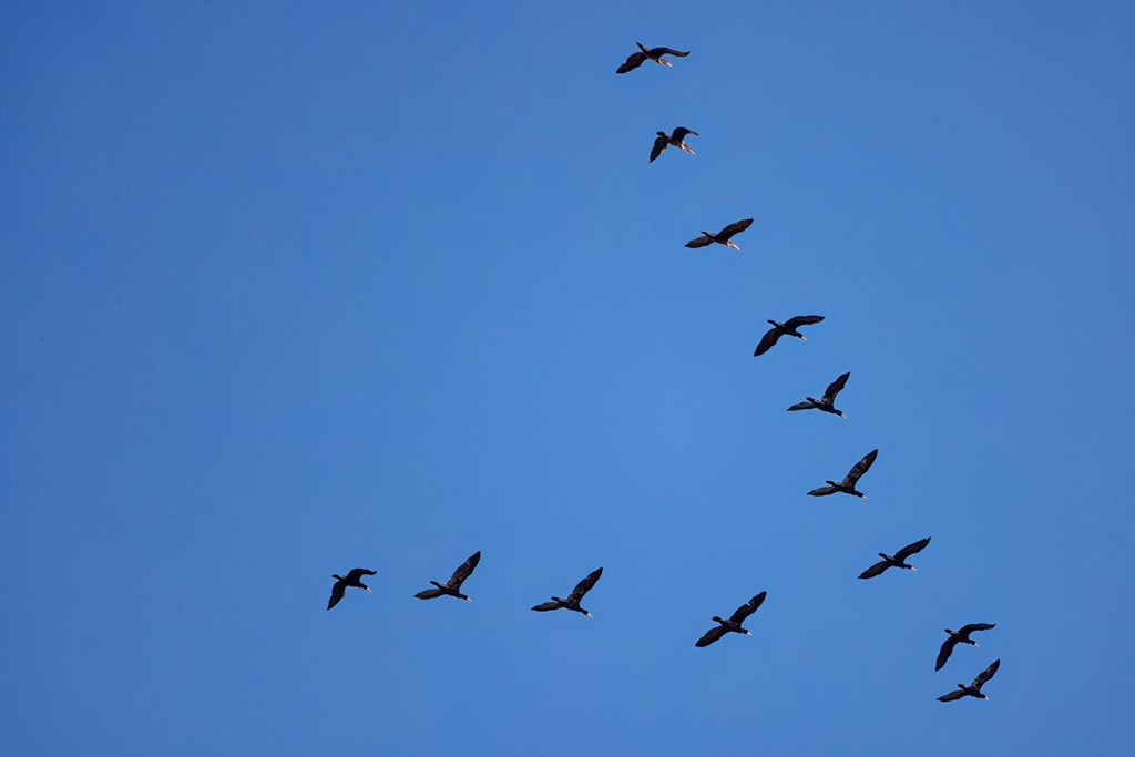 Navigating CRM3: Increasing Transparency, Increasing Trust | CI Global ...